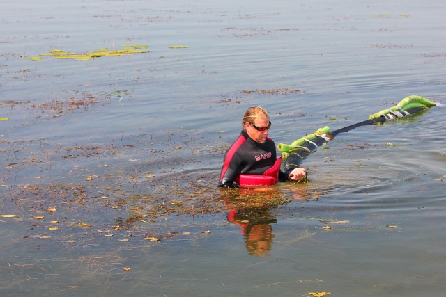 Diver Assisted Suction Harvesting | Ecowaterway